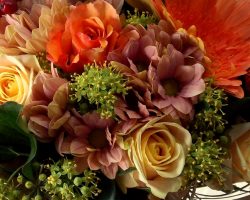 Crizantema, floarea lunii Septembrie. – Flori Aniversare